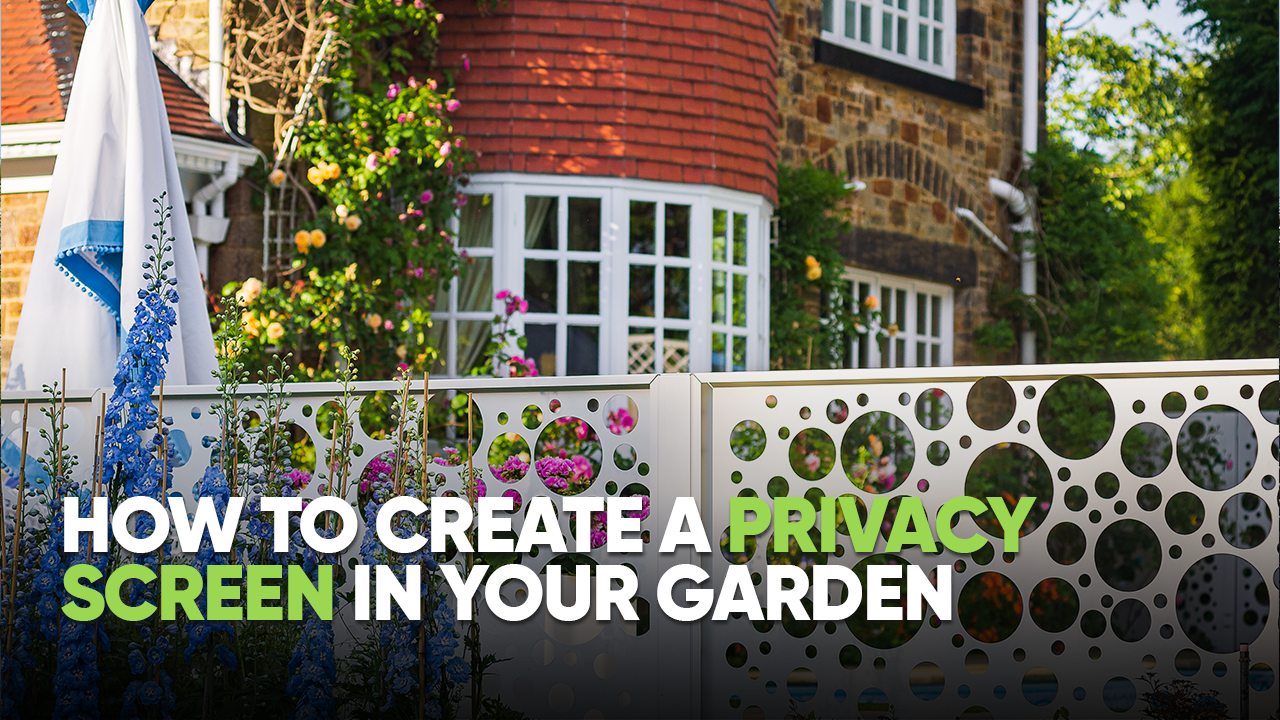 How to Create a Privacy Screen in Your Garden